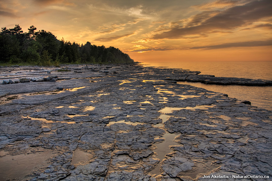 Craigleith Provincial Park | Natural Ontario