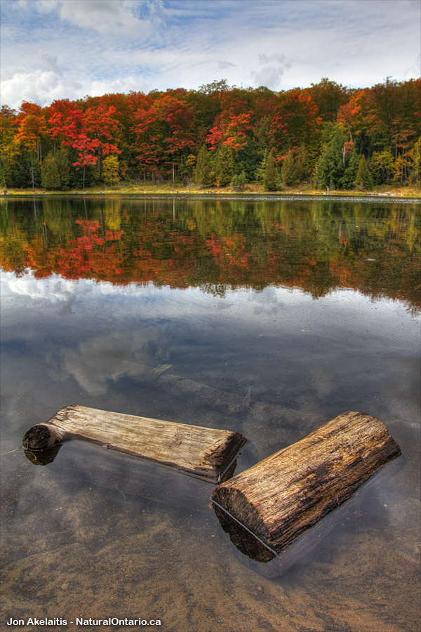 Mono Cliffs Provincial Park | Natural Ontario